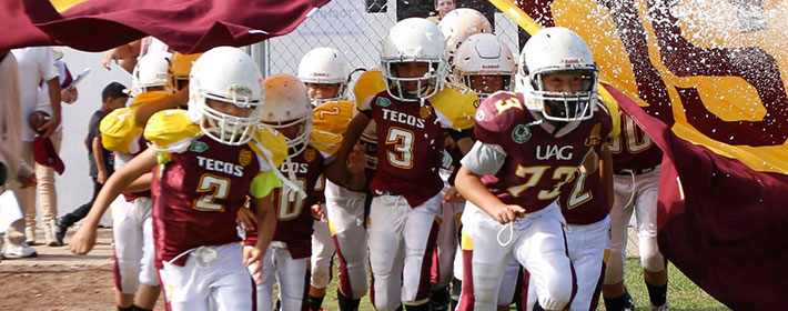 Por Covid-19, ONEFA pospone el arranque de la conferencia de los ’14 ...