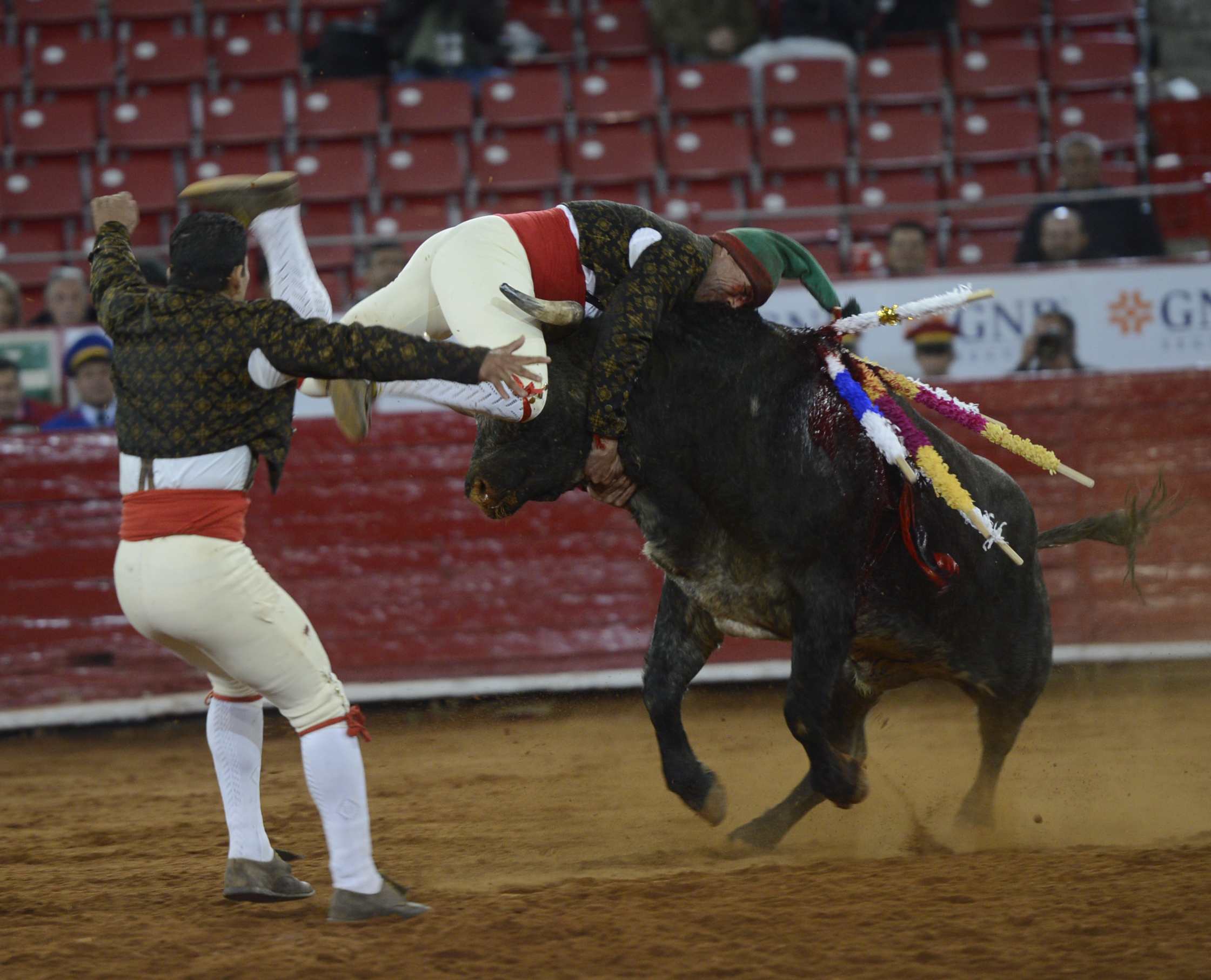 Los Forcados en México son una pasión muy arriesgada